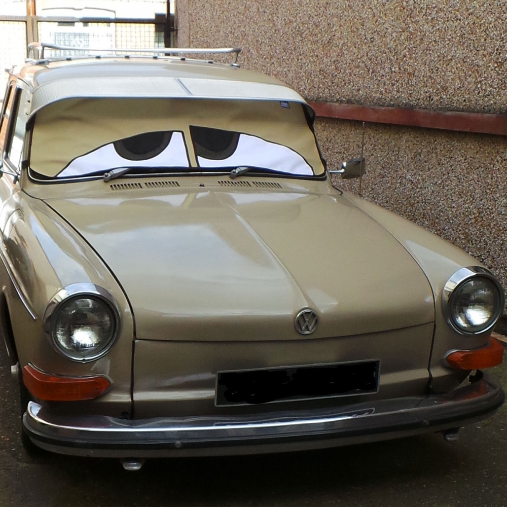 Type 3 Buseyes Sunshade - Madmatz